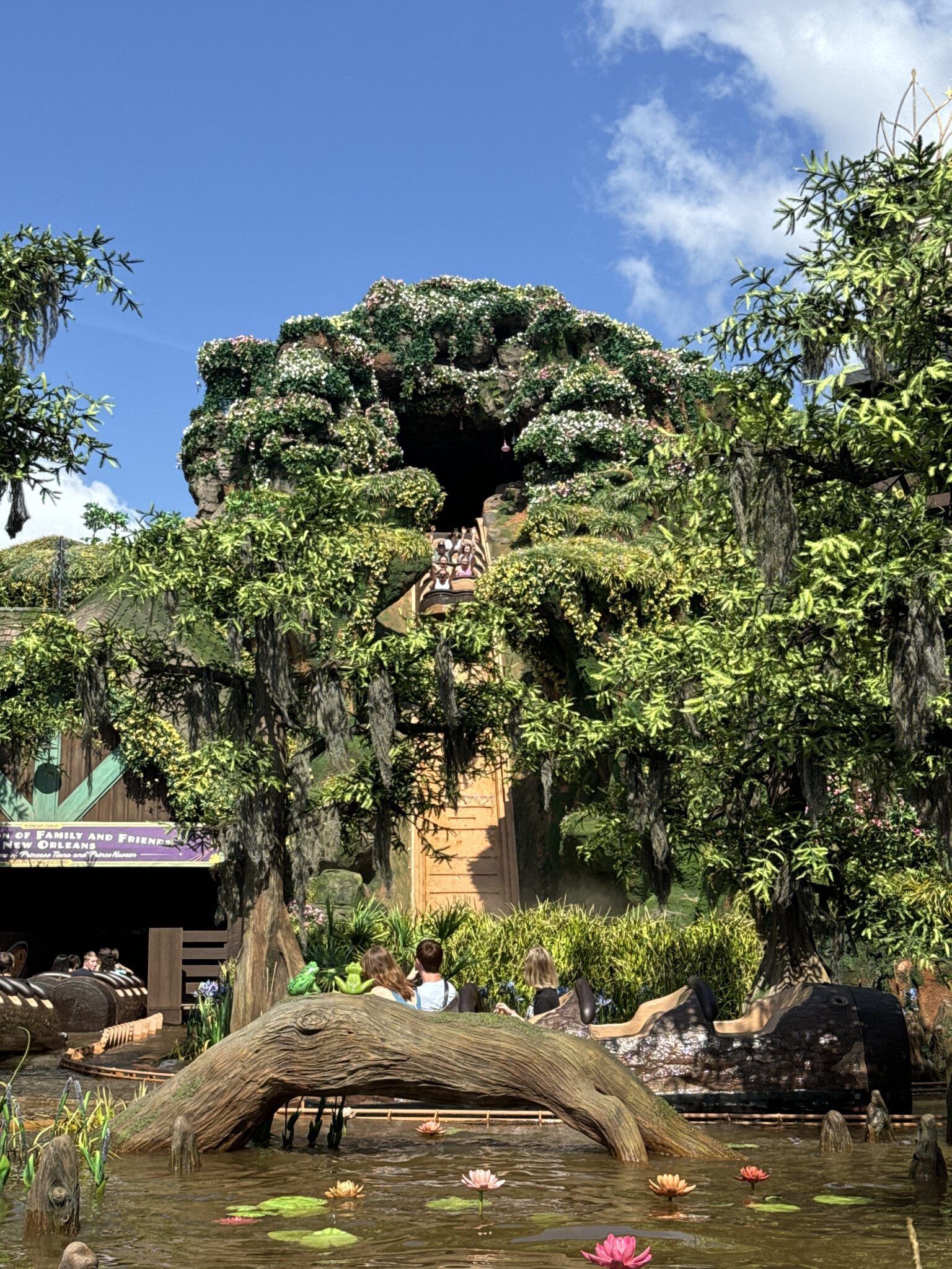 Review Tiana's Bayou Adventure - Paul Gowder